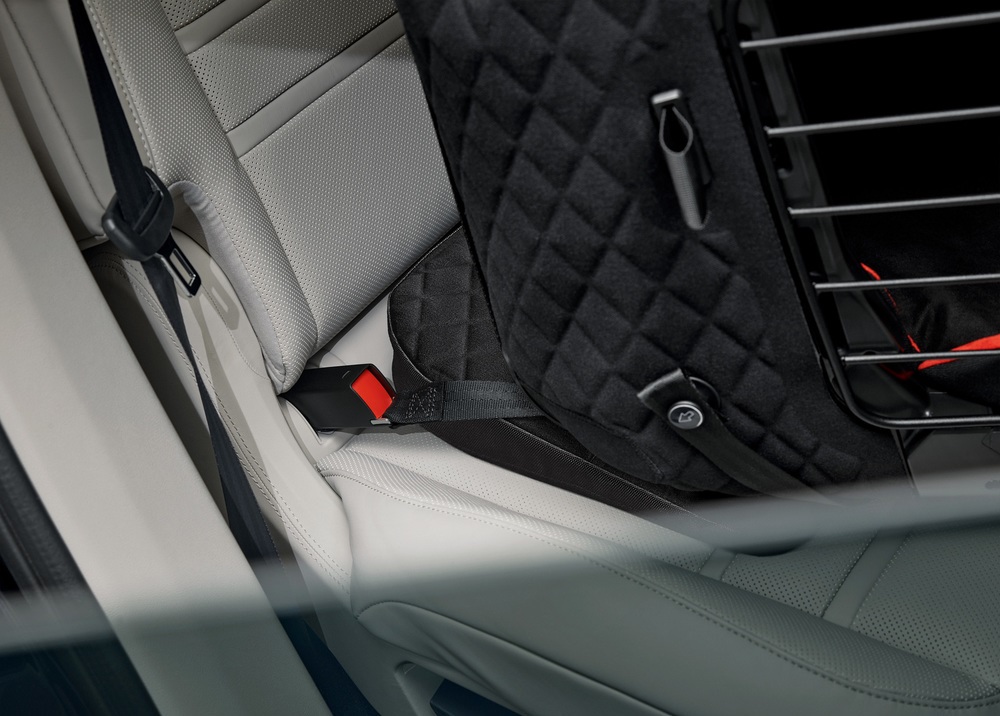 Dog Transport Box with ISOFIX Latch. Porsche Centre Brighton Shop